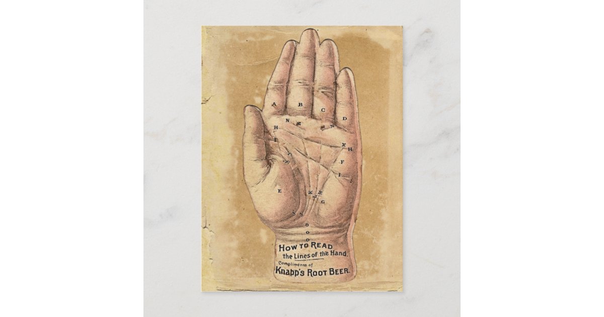 Palm Reading Postcard | Zazzle