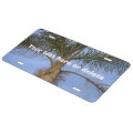 Palm Tree Blue Sky Front License Plate | Zazzle