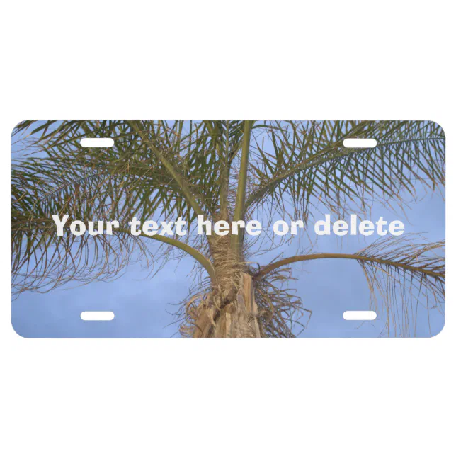 Palm Tree Blue Sky Front License Plate | Zazzle