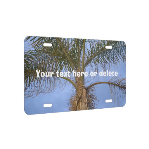 Palm Tree Blue Sky Front License Plate | Zazzle