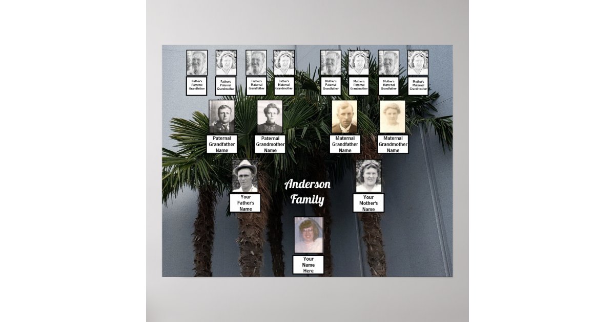 Palm Tree Cluster Photo Family Tree Poster | Zazzle