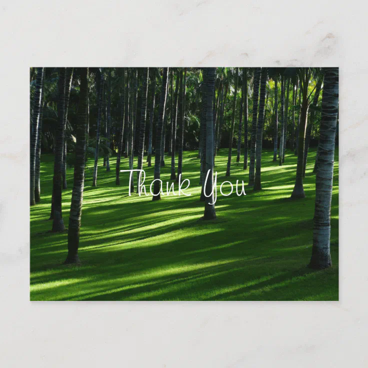Palm Tree Forest Thank You Postcard | Zazzle