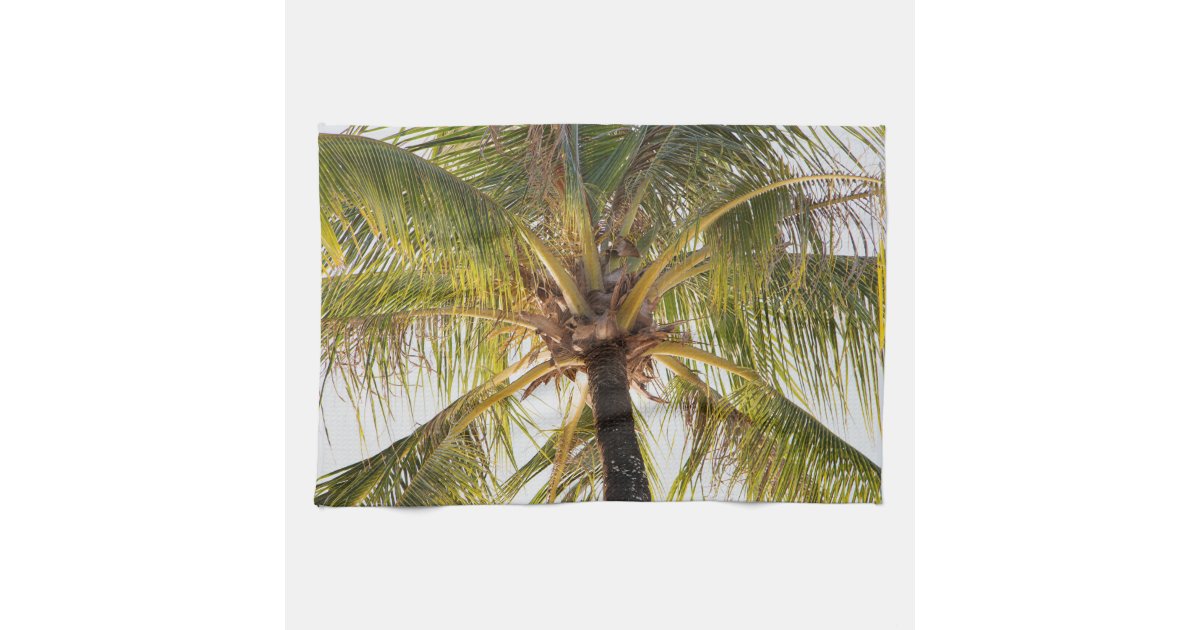 Palm Tree Kitchen Towels | Zazzle