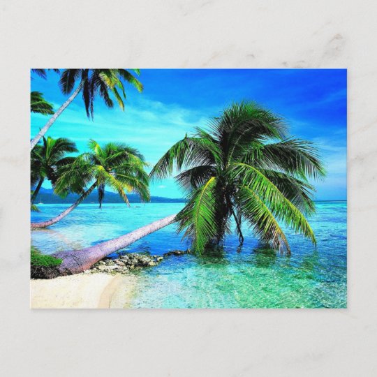 Palm Tree Tropical Island Beach Postcard | Zazzle.com
