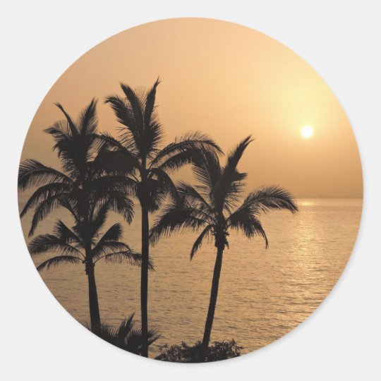 Palm Trees and Romantic Sunset Classic Round Sticker | Zazzle.com