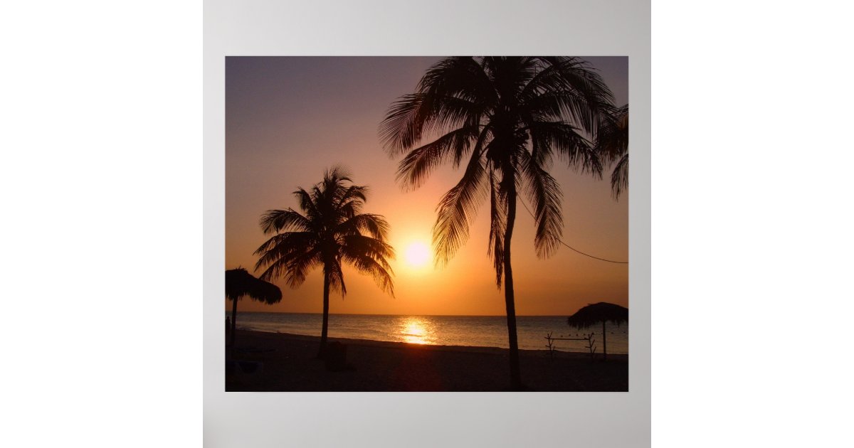 Palm trees at sunset poster | Zazzle