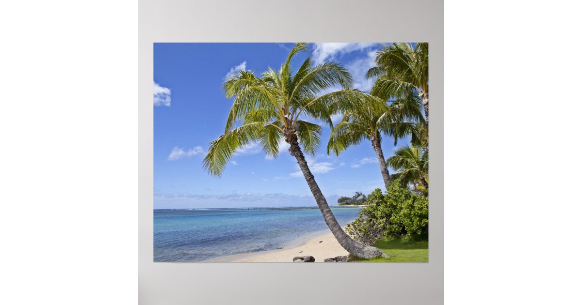 Palm trees on the beach in Hawaii. Poster | Zazzle