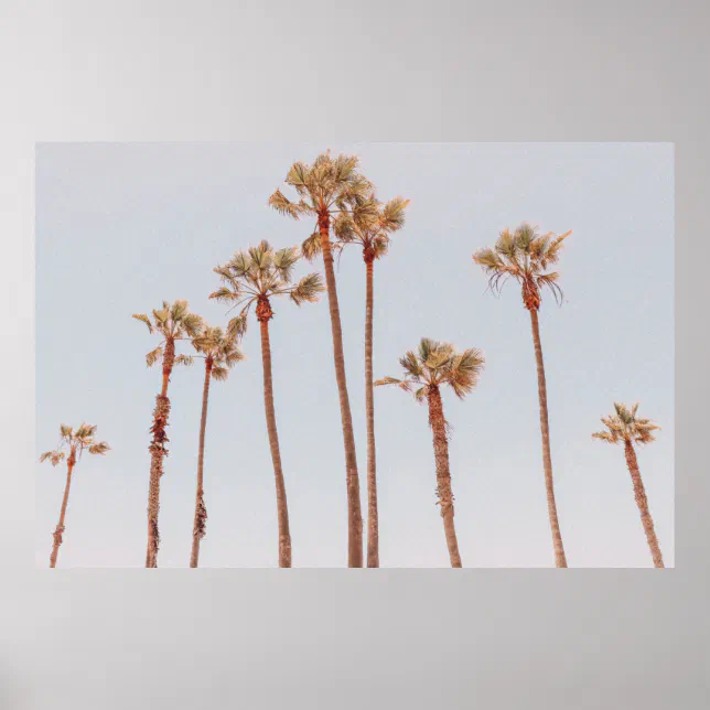 PALM TREES POSTER | Zazzle