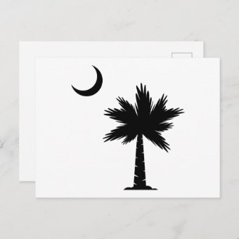 Palmetto Moon Postcard | Zazzle