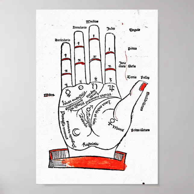 Palmistry Poster | Zazzle