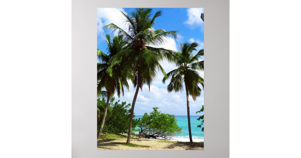 Palmtrees on Tropical Seascape Poster | Zazzle