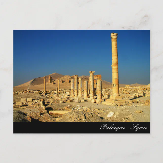 Palmyra, Bell Temple, Roman Ruins, Syria Postcard | Zazzle