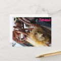 Panama Postcard | Zazzle