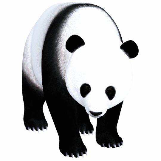 Panda Bear Cutout | Zazzle.com