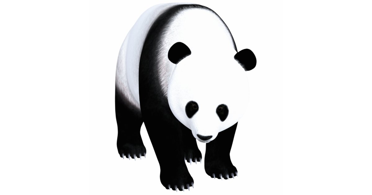 Panda Bear Cutout | Zazzle