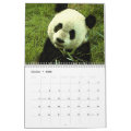 Panda Calendar | Zazzle