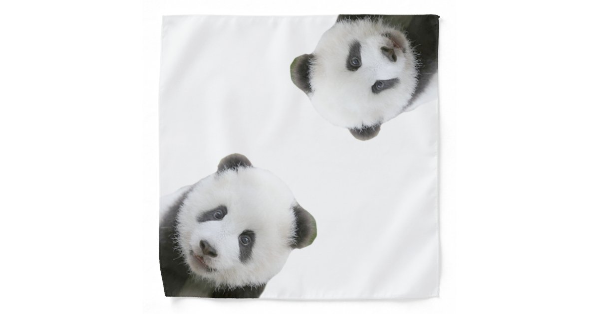 Panda Face Bandana | Zazzle