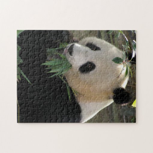 Panda Jigsaw Puzzle | Zazzle