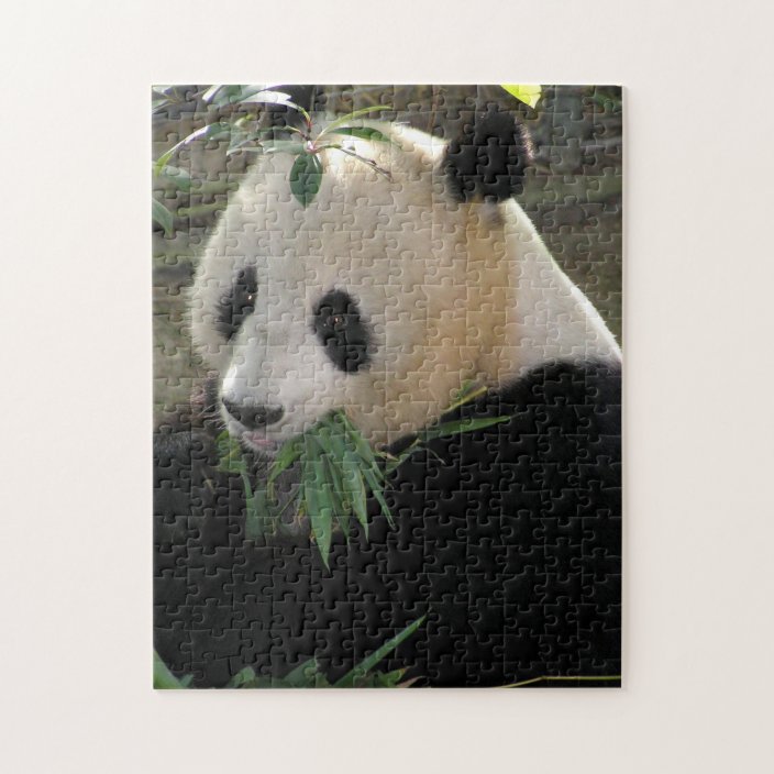 Panda Jigsaw Puzzle | Zazzle.com