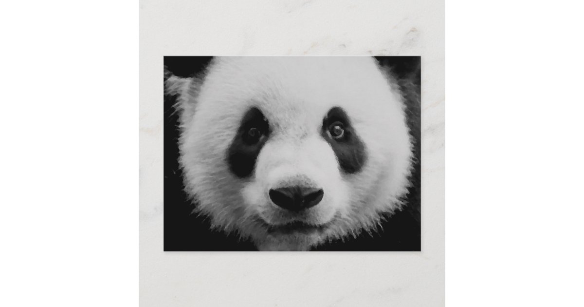 Panda Postcard | Zazzle