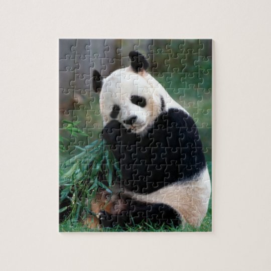 Panda Puzzle | Zazzle.com