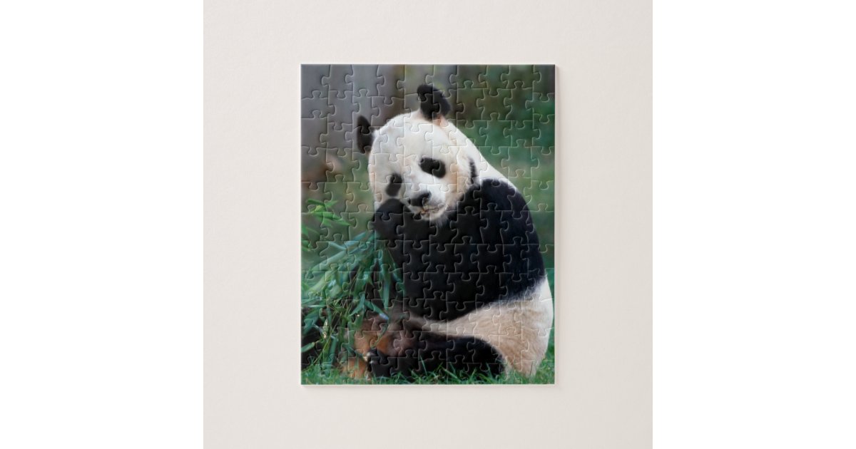 Panda Puzzle | Zazzle