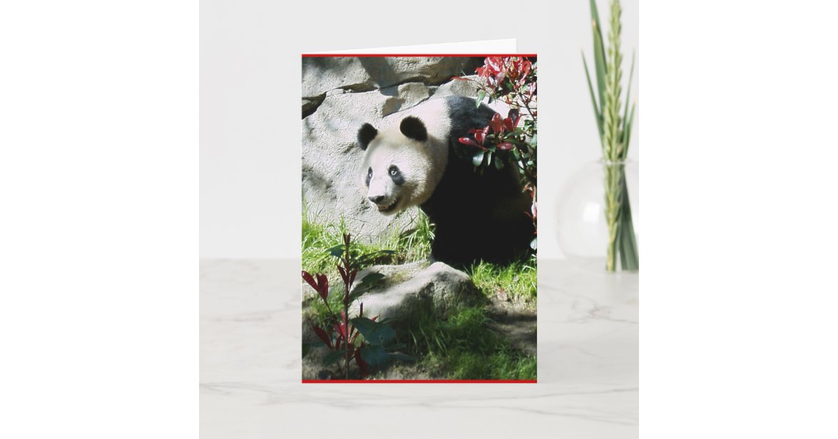 Panda Smile Card | Zazzle