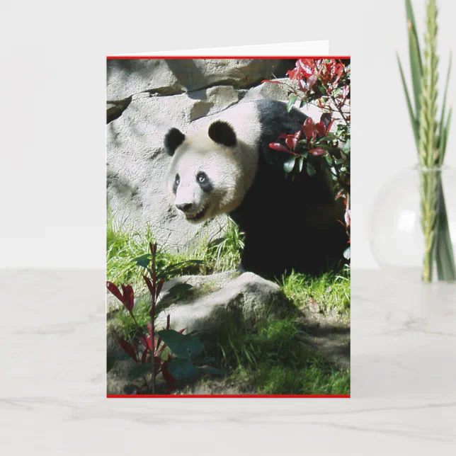 Panda Smile Card | Zazzle