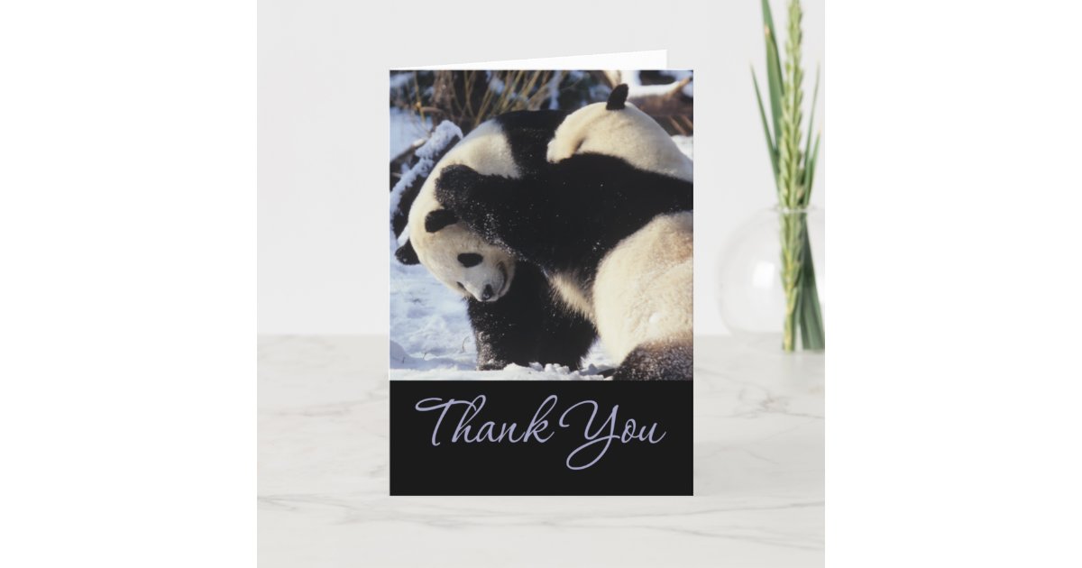 Panda Thank You Cards | Zazzle