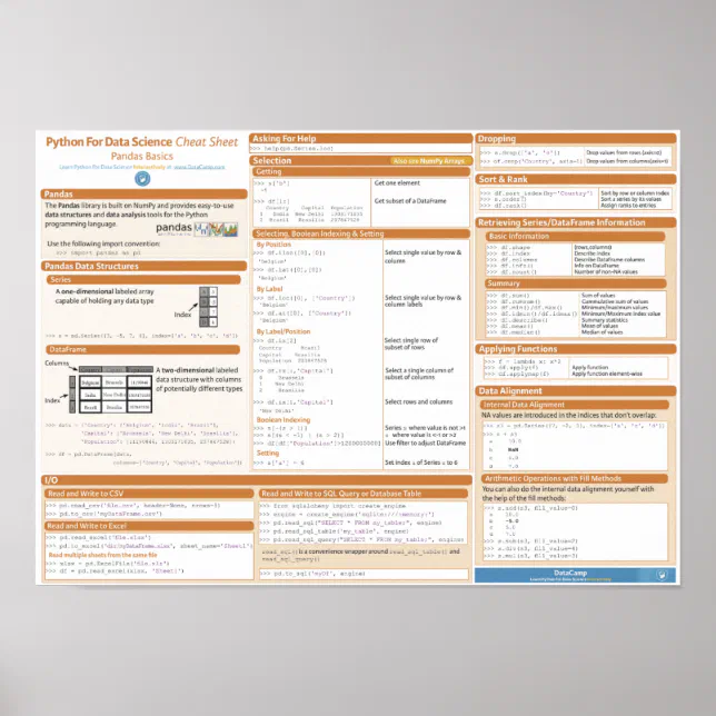 Pandas Basic Cheat Sheet Poster | Zazzle