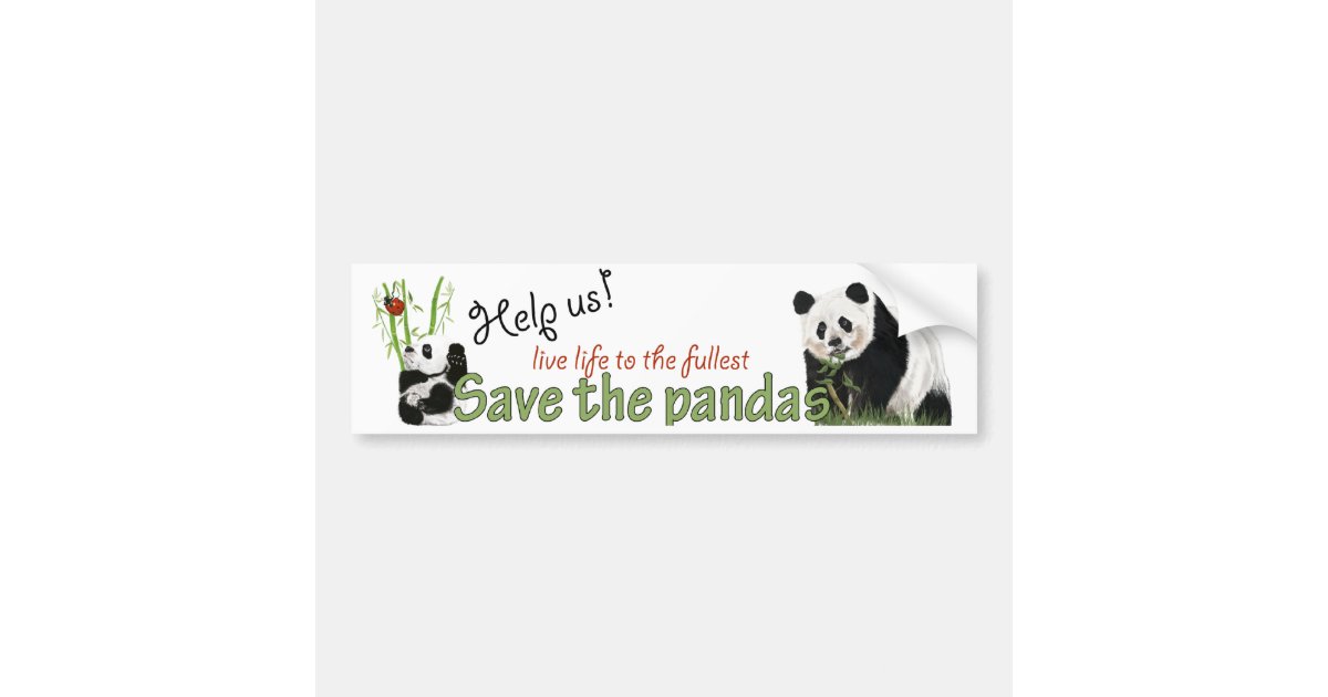 pandas bumper sticker | Zazzle