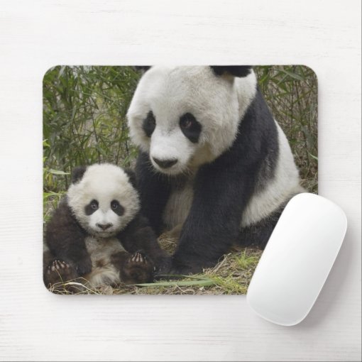 Pandas Mouse Pad Zazzle