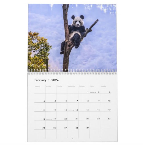 Pandas of China, 2019 Wall Calendar | Zazzle