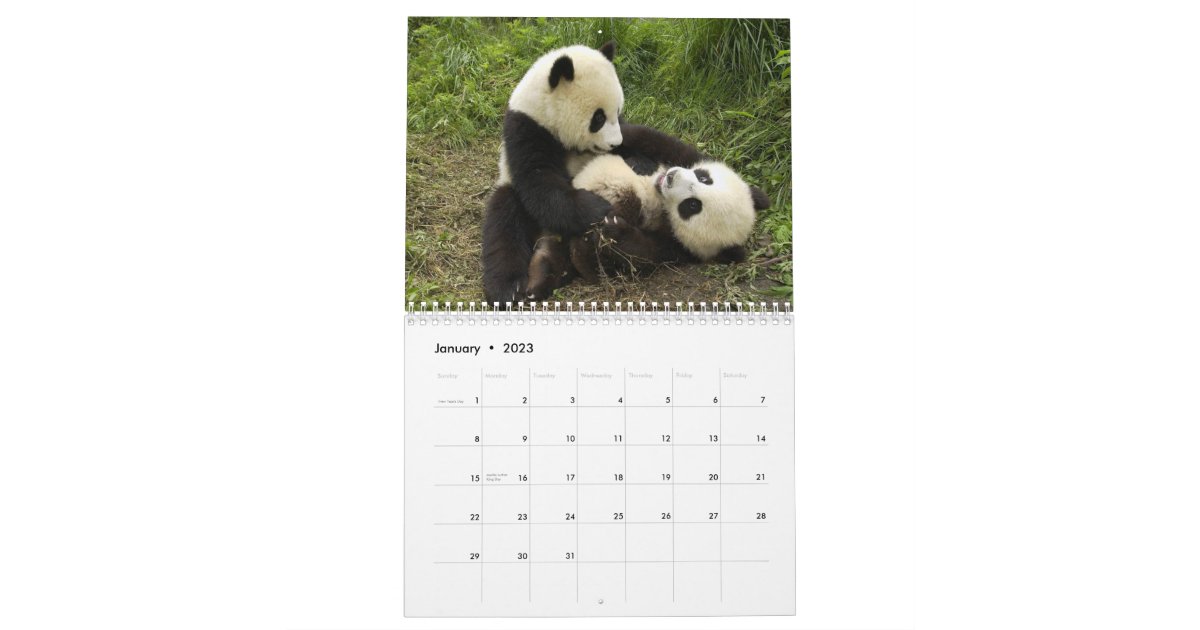 Pandas Wall Calendar | Zazzle