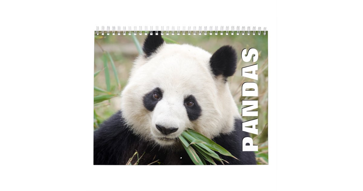 Pandas Wall Calendar | Zazzle