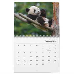 Pandas Wall Calendar | Zazzle