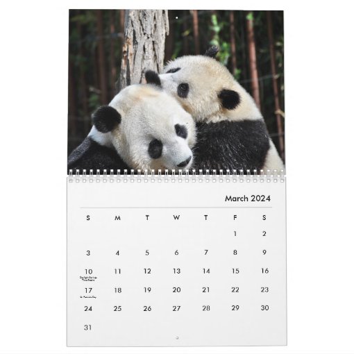 Pandas Wall Calendar | Zazzle