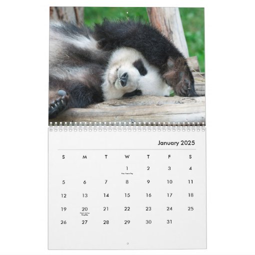 Pandas Wall Calendar | Zazzle