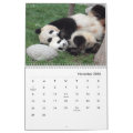 Pandas Wall Calendar | Zazzle