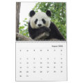 Pandas Wall Calendar | Zazzle