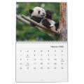 Pandas Wall Calendar | Zazzle