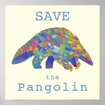 Pangolin Endangered Animal Art Poster | Zazzle
