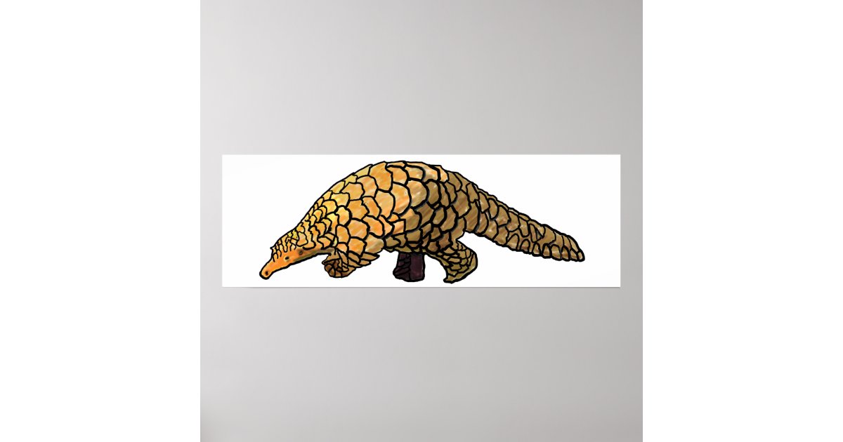 Pangolin Poster | Zazzle
