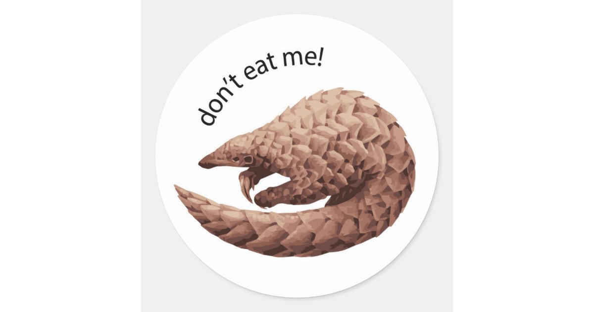 Pangolin Sticker | Zazzle
