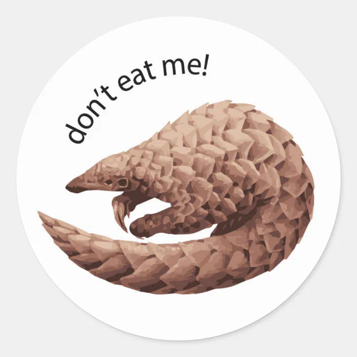 Pangolin Sticker | Zazzle