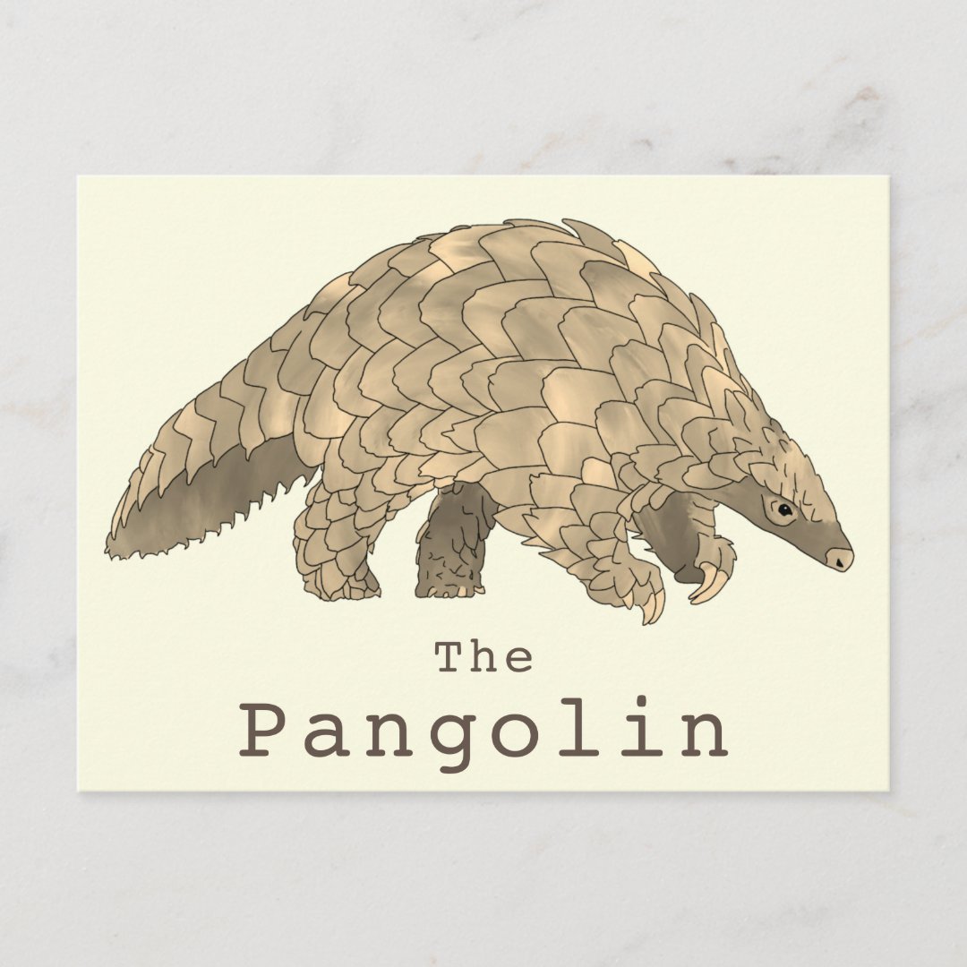 Pangolin Wildlife Endangered Species Animal Art Postcard | Zazzle