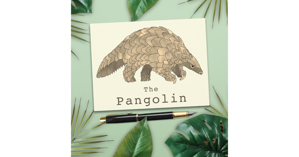 Pangolin Wildlife Endangered Species Animal Art Postcard | Zazzle