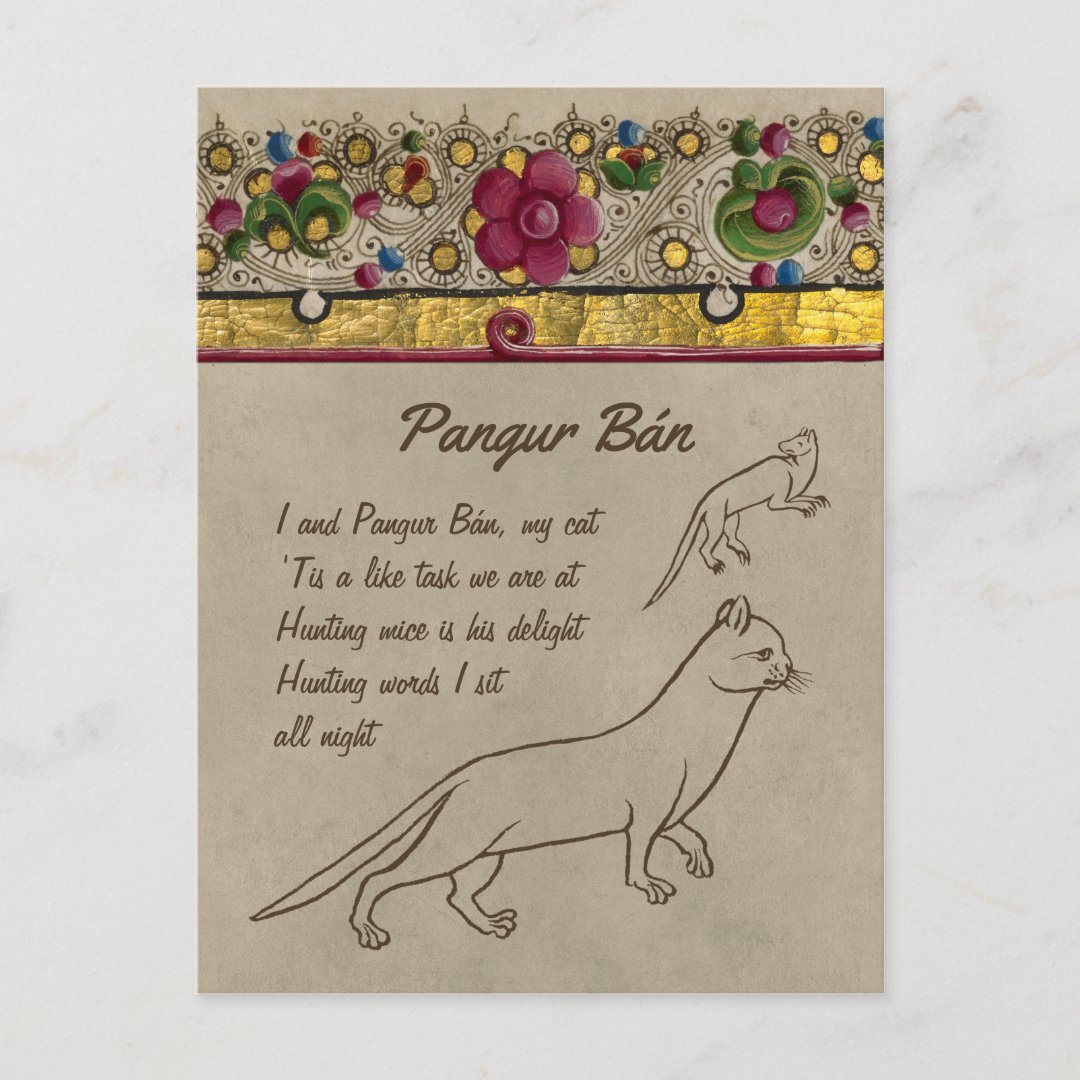Pangur Bán Scholar and cat Old Irish poem CC1018 Postcard | Zazzle