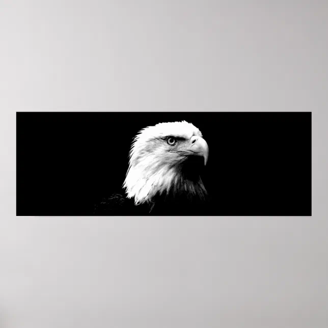 Panoramic Bald Eagle American Eagle Poster Print | Zazzle