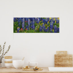 Panoramic Bluebonnet Scene Poster | Zazzle